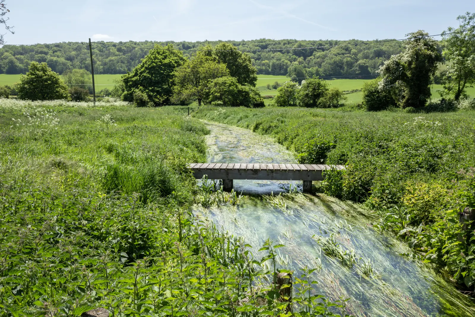 Nine Mile Water Business Park, Nether Wallop | BCM Wilson Hill