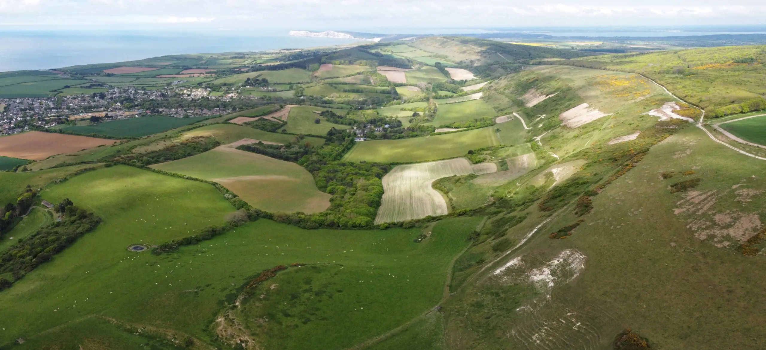 Rural Consultancy | BCM Wilson Hill | Your Property Specialists