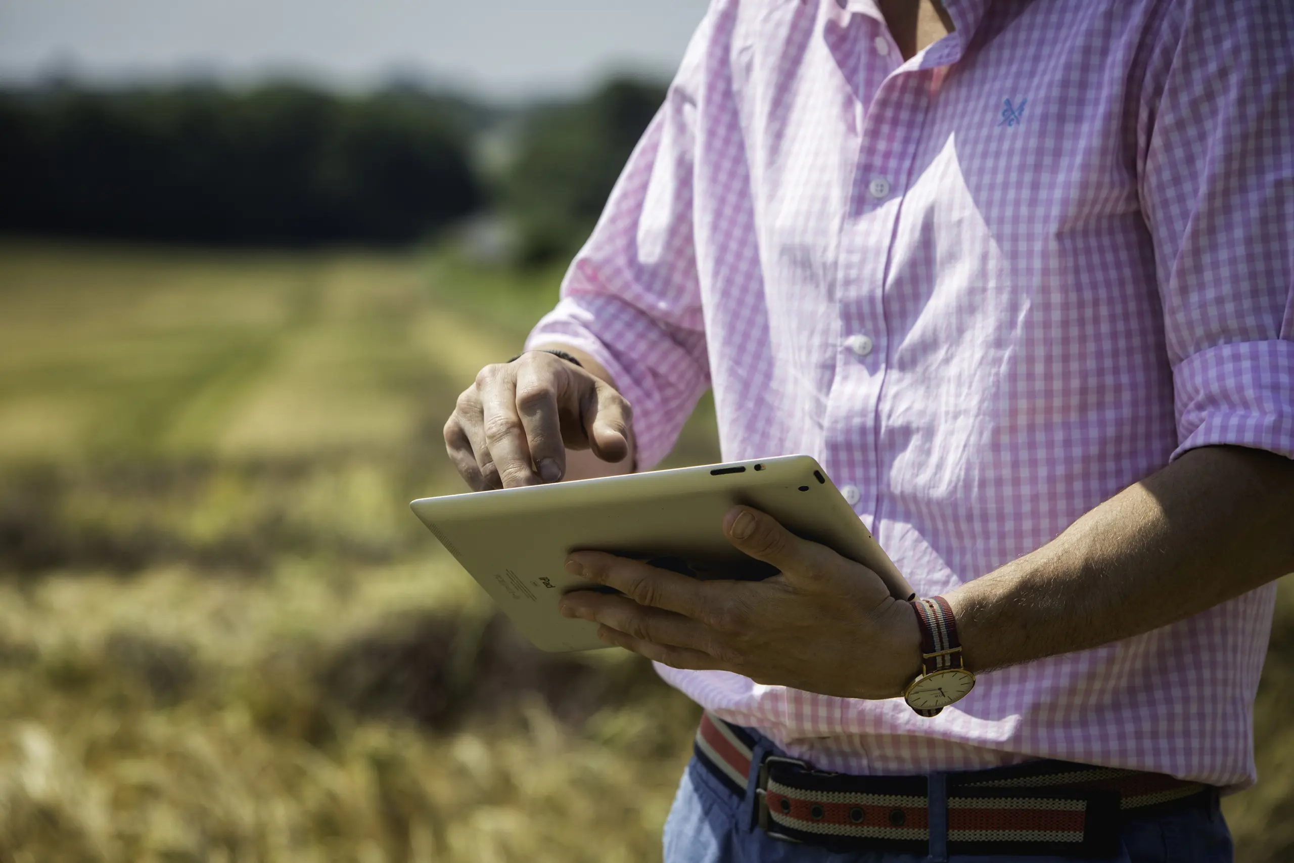 Rural Consultancy | BCM Wilson Hill | Your Property Specialists