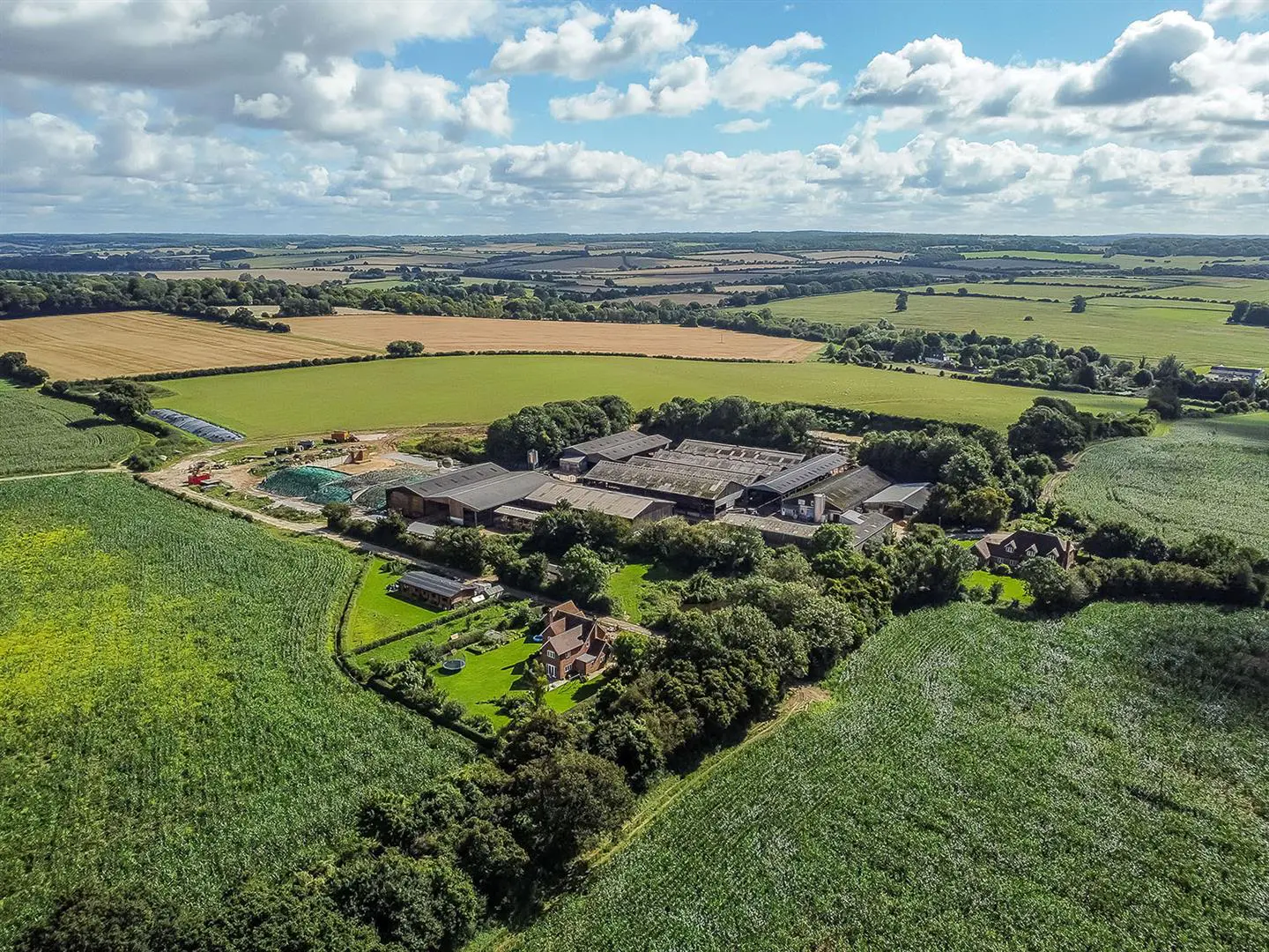 Brown Candover | BCM Wilson Hill