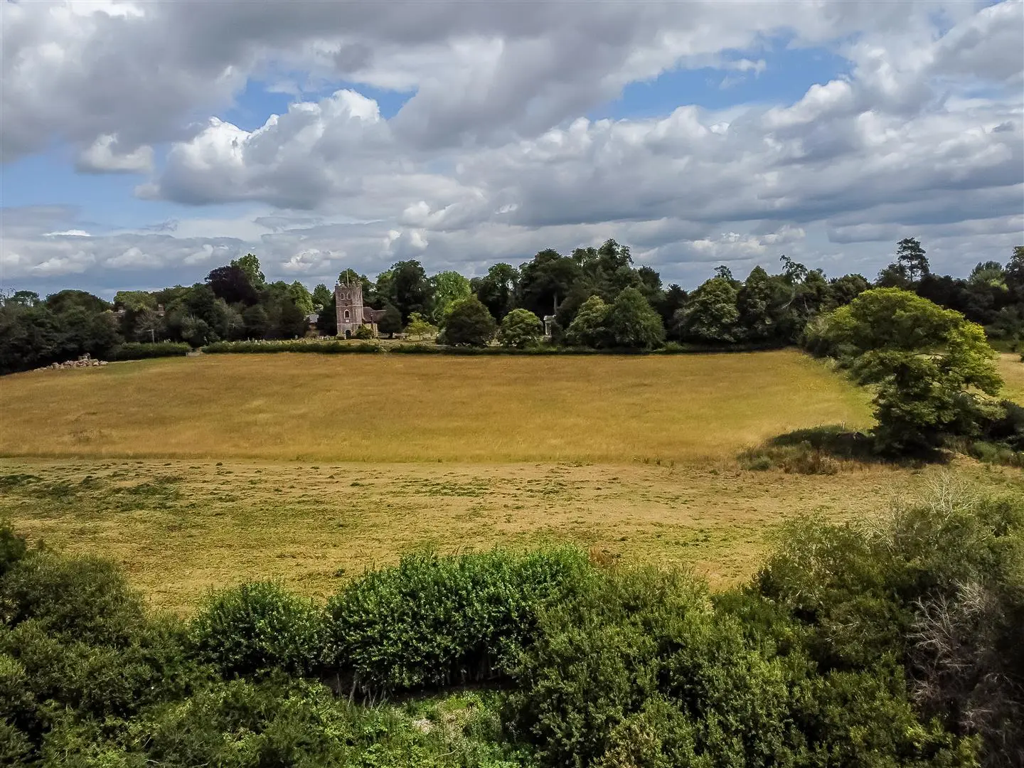 Churchfield Copse and Gooslers Pond | BCM Wilson Hill