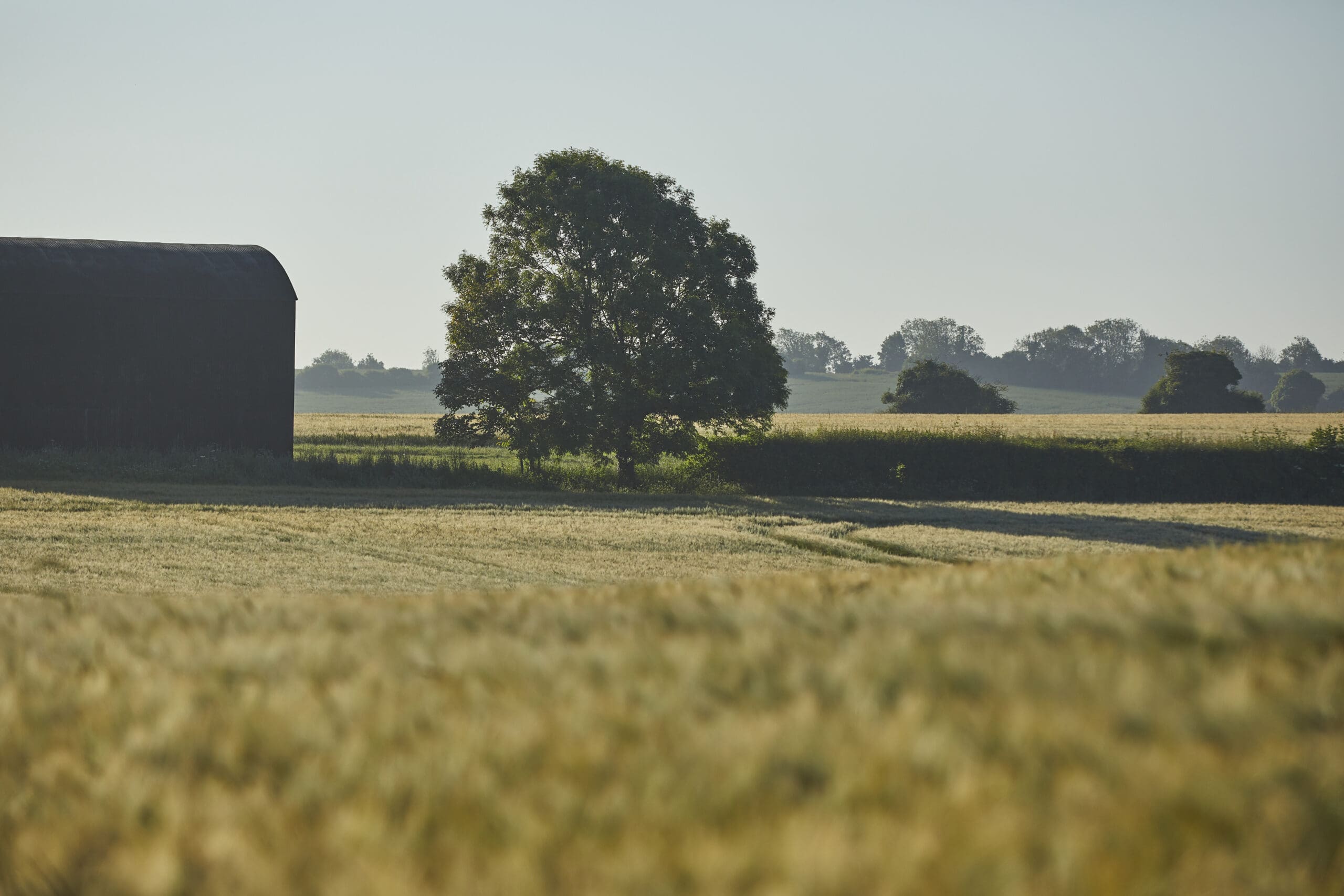 Rural Consultancy | BCM Wilson Hill | Your Property Specialists
